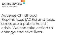 Adverse Childhood Experiences Revised Questionnaire - Trauma-Informed ...